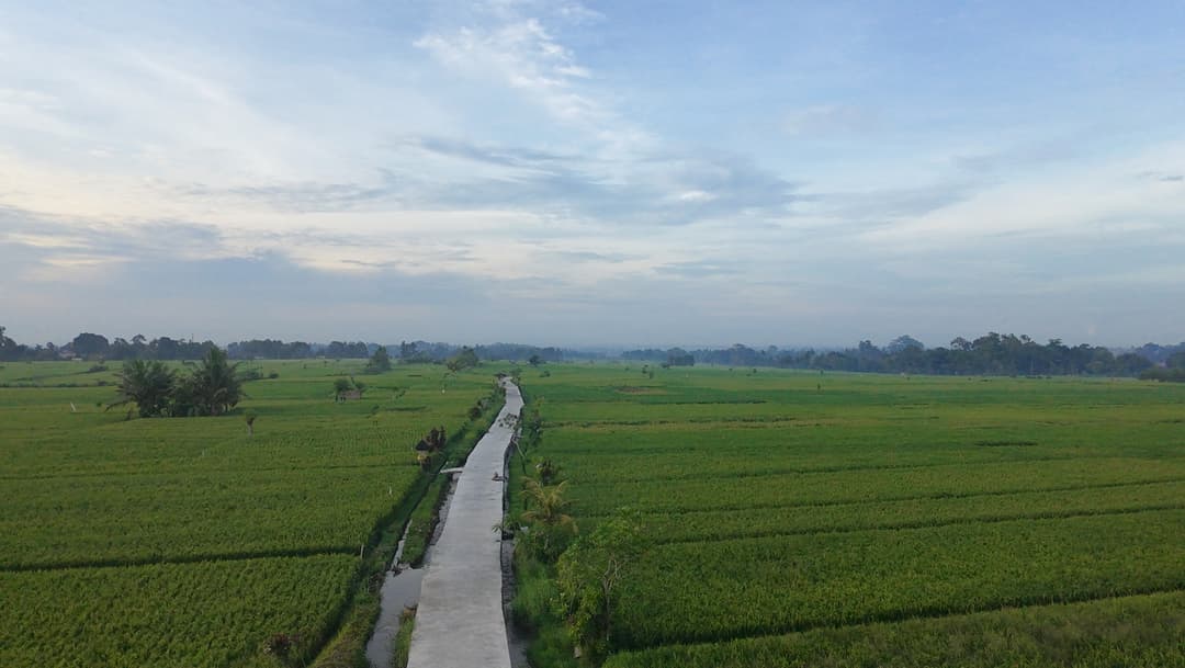 Save Subak