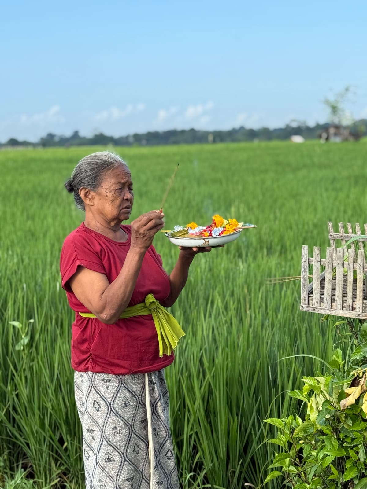 Save Subak
